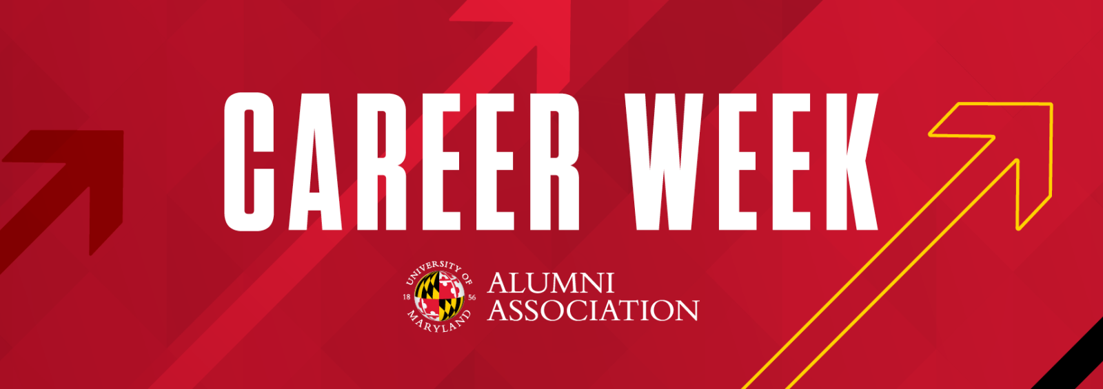 Terps In Education Virtual Networking Event | UMD College of Education