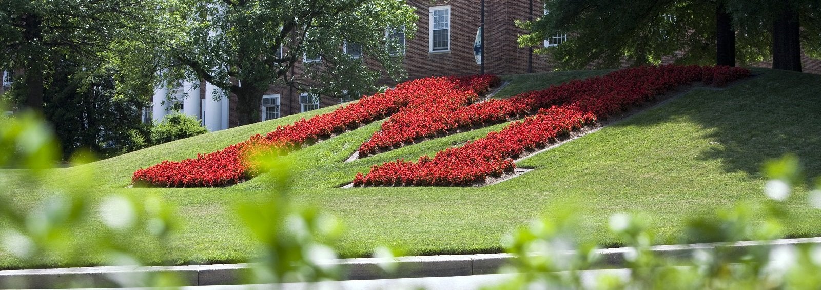 The One Thing Conference | UMD College of Education