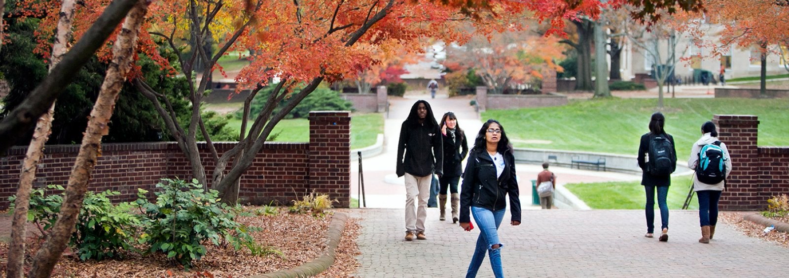 Human Development Honors Program | UMD College of Education