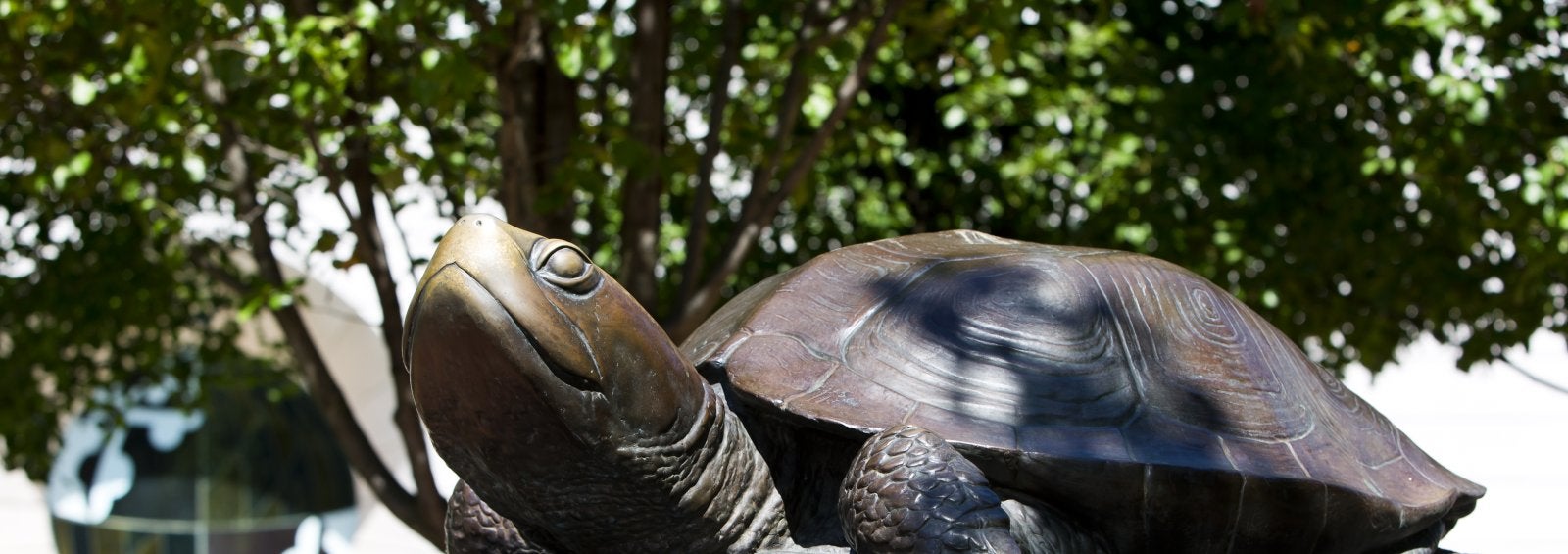 Reading List | UMD College of Education